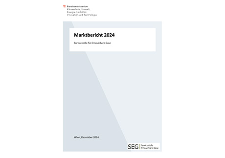 SEG Marktbericht 2024